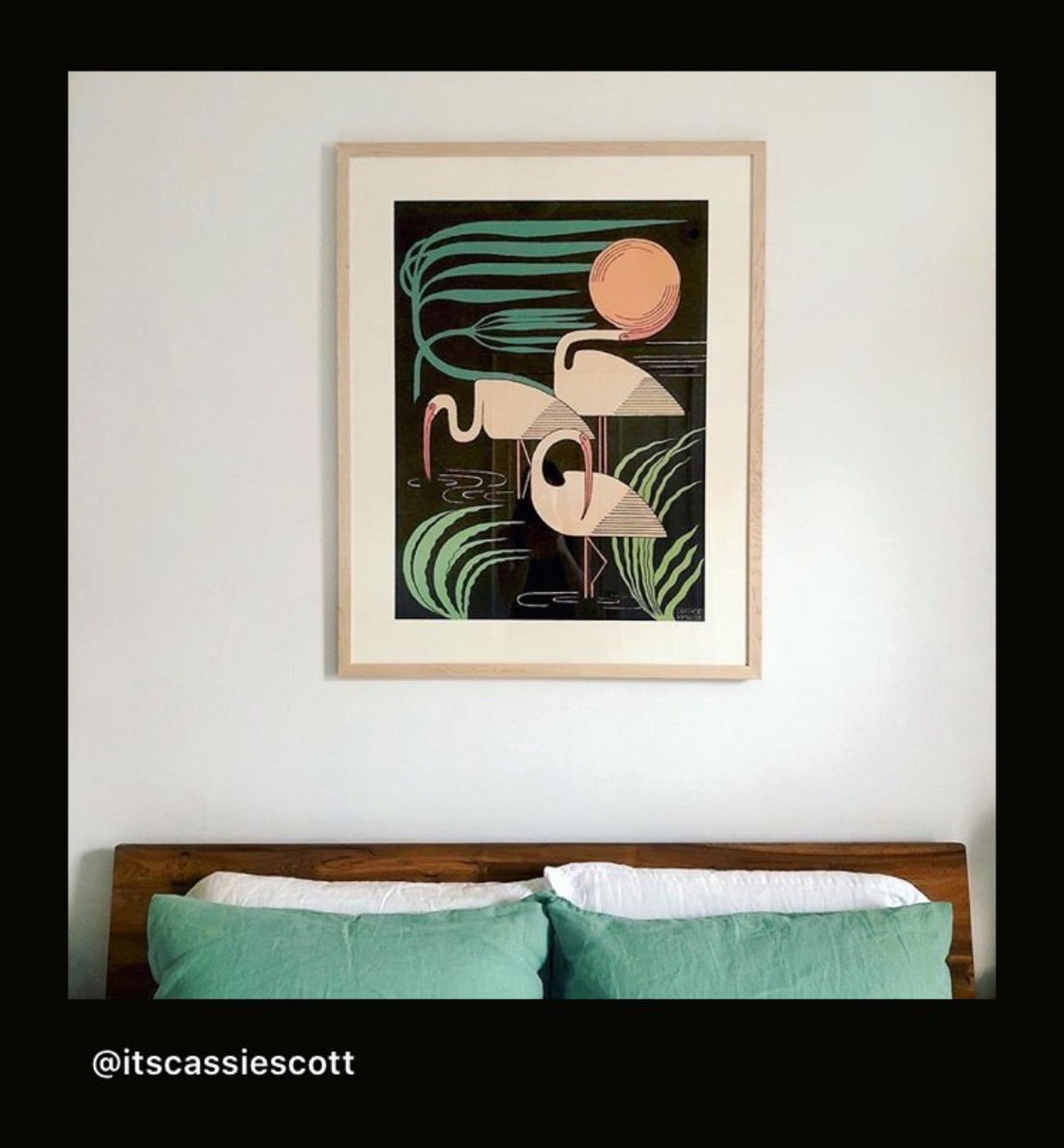 Ibis & Hurricane – Mike Willcox