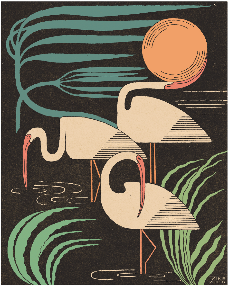 PRINTS – Mike Willcox